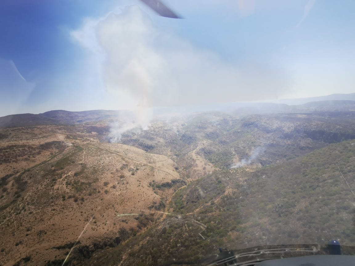 Incendio Registrado en Zacatecas, Apagado Casi en su Totalidad, no ...