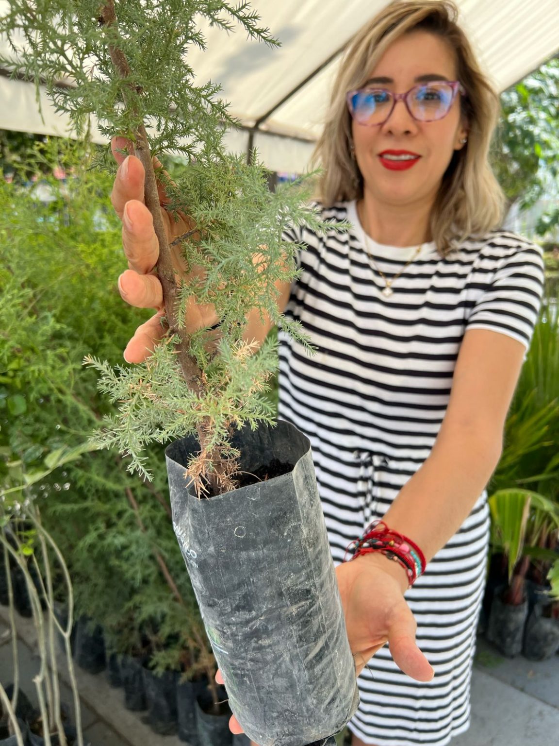 Celebra el Día Internacional de la Madre Tierra Adoptando un Árbol a ...